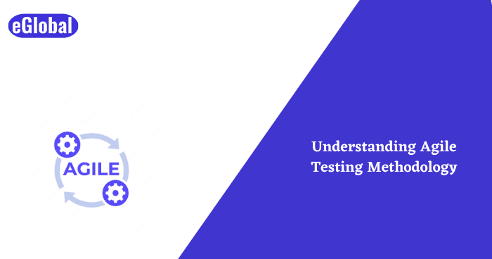 Understanding Agile Testing Methodology